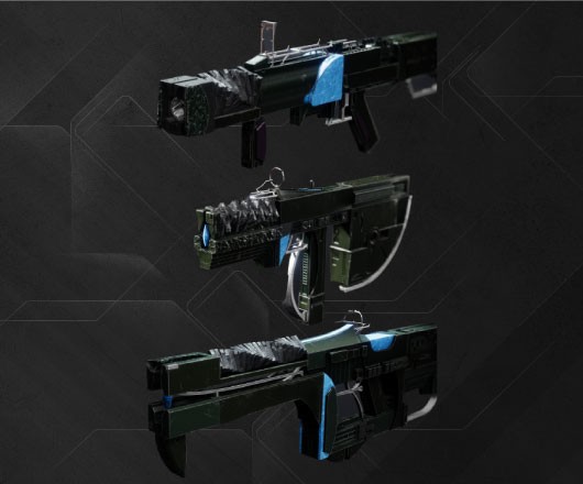 Adept Weapon from Destiny 2's Master Vow of the Disciple Raid