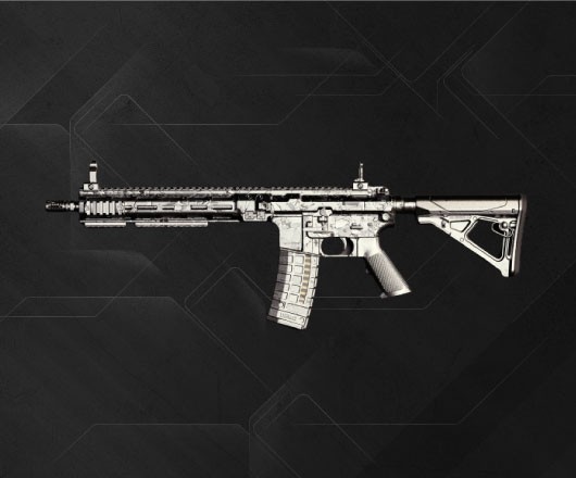 Call of Duty Platinum Weapon Camos