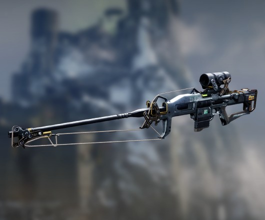 Naeem's Lance Sniper Rifle Farm | Destiny 2 Carries by CarrySquad